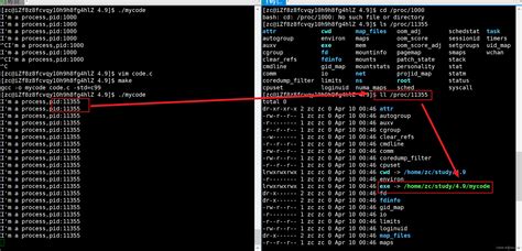Linux：进程概念（二查看进程、父进程与子进程、进程状态详解） 腾讯云开发者社区 腾讯云
