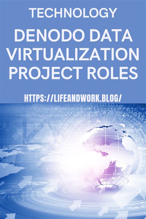 Denodo Data Virtualization Project Roles