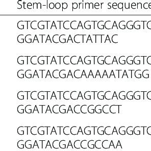 Stem Loop Primers For The Internal Controls Download Table
