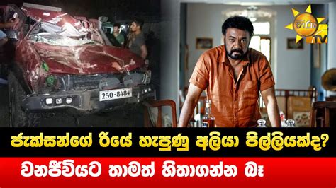 ජැක්සන්ගේ රියේ හැපුණු අලියා පිල්ලියක්ද වනජීවියට තාමත් හිතාගන්න බෑ Hiru News Youtube