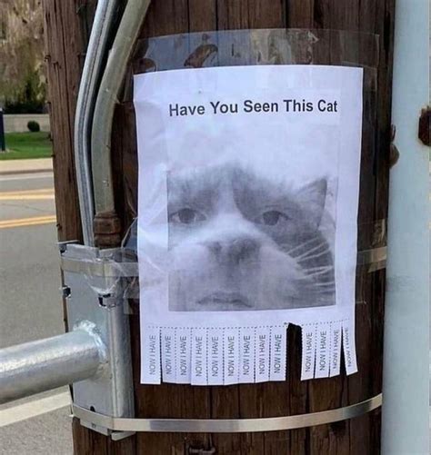 20 Peculiar Images To Make Your Day A Whole Lot Weirder Know Your Meme