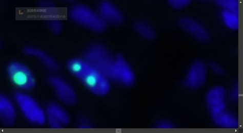 445 Questions With Answers In DAPI Science Topic