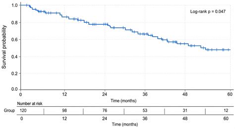 Kaplan Meier Plot Generator Survival Curve Maker Scidraw Ai