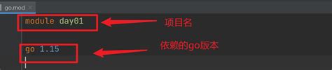 第二篇：go包管理 Yangyi215 博客园