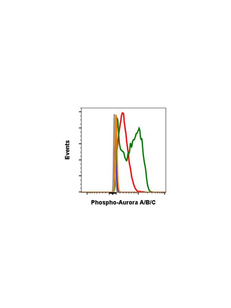 Phospho Aurora Abc Recombinant Mab Abwiz Bio