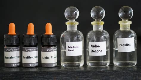 How Substances In Perfumes Emulate Pheromones And Increase Attraction