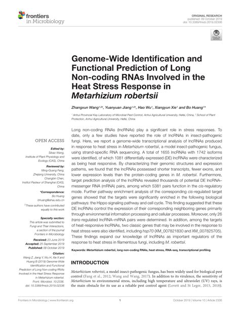 Pdf Genome Wide Identification And Functional Prediction Of Long Non Coding Rnas Involved In