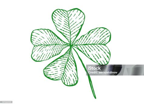 패트릭의 날을 위한 핸드 드로잉 스타일로 4개의 잎이 있는 빈티지 그린 럭키 클로버 클로버 모양에 대한 스톡 벡터 아트 및 기타 이미지 클로버 모양 네잎 클로버