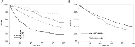 Kaplan Meier Analysis Of Phd1 Protein Expression In Primary Crcs A Download Scientific Diagram