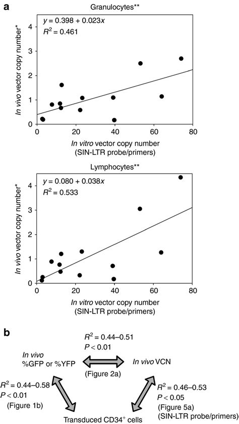 Positive Correlation Of Average Vector Copy Number Vcn Per Cell In Download Scientific
