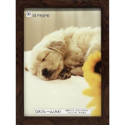 イワタ 額縁 Oaフレーム 樹脂製 ブラウン A4 Joa A4 Br メルカリ