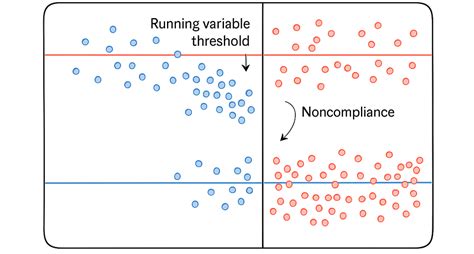 Fuzzy Regression Discontinuity Design Enhancing Causal Inference In Loyalty Program Analysis