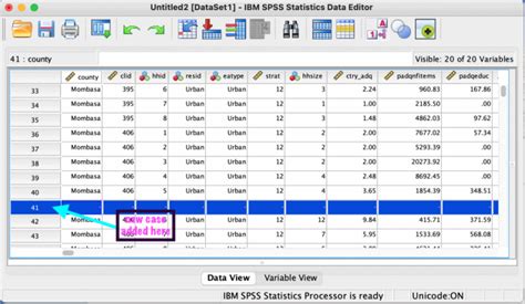 Spss Tutorial 3 Data Modification In Spss Resourceful Scholars Hub
