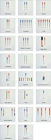 Palavras Para Qu O Sexo Explicado Com Canetas Aventar