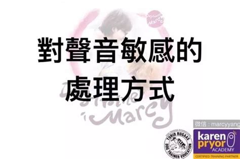 对某些人声音敏感 对声音很是天才 汽笛人的声音 大山谷图库