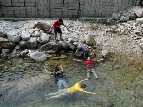 Playing Dead Know Your Meme