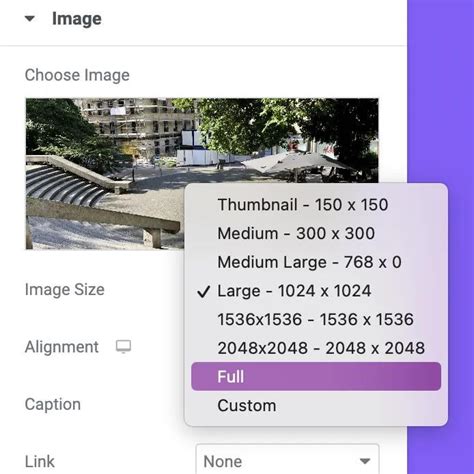 where are images sizes defined in elementor r elementor