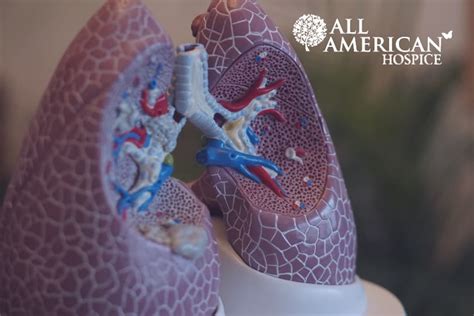 A Guide To The End Stage Copd Symptoms End Of Life Signs With Copd