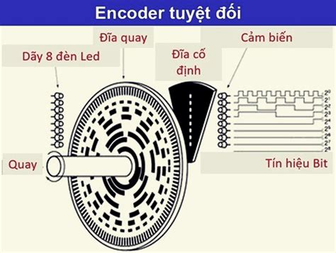 Đo Tốc độ Bằng Encoder Hướng Dẫn Chi Tiết Từ A đến Z