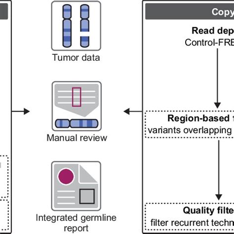 Approach For Germline Variant Calling Annotation And Filtering In Download Scientific Diagram