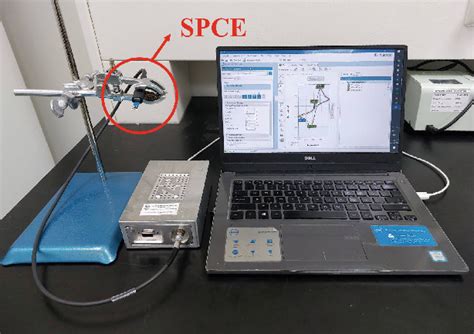 Electrochemical Assays Arrengement Of The Screen Printed Electrodes Download Scientific Diagram
