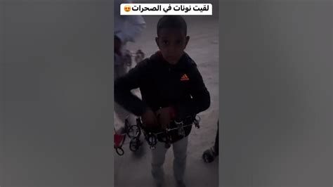 لقيت نونات في الصحرات 😍🍯 Youtube