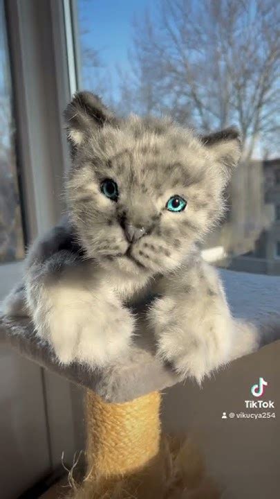 Мʼяка іграшка ручна робота Youtube