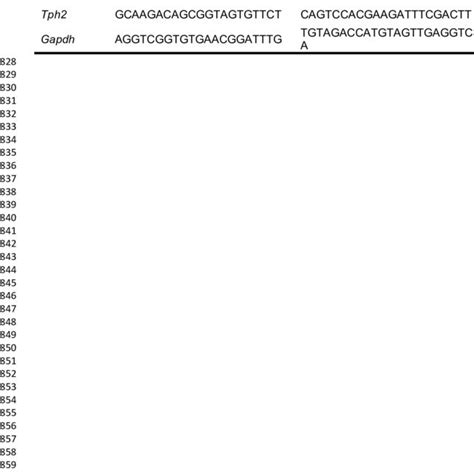 Qpcr Primer Sequences Of Related Genes 827 Gene Abbreviation Forward Download Scientific
