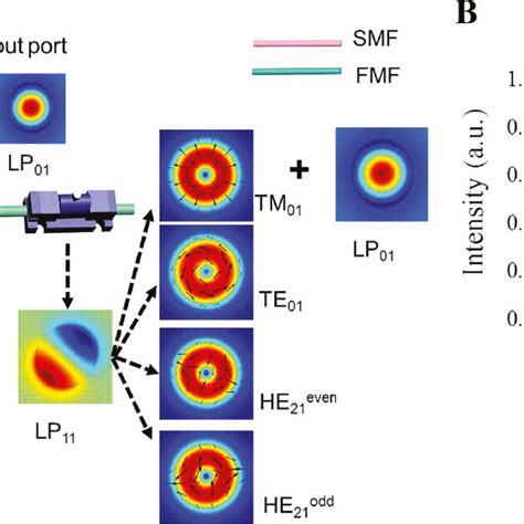 The Structure And Vector Modes Profiles Of Mode Selective Coupler A