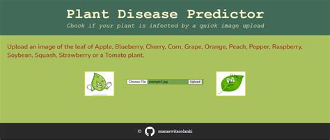 GitHub Manaswitasolanki Leaf Disease Detection