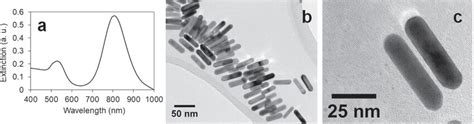 Extinction Spectrum A And Tem Images B And C Of Au Nanorods