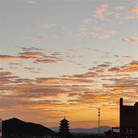 Vue是什么 Vue Cli脚手架 Vue内置指令 自定义指令的相关了解 Ew帮帮网