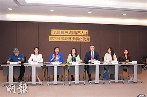 陳庭欣指花費萬元消滅1隻老鼠勞民傷財 梁家琪否認靠父幹購入2000萬豪宅 1816 20230511 Showbiz 明報