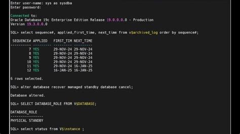 Oracle Data Guard 19c Switch Standby Database To Read Only For Testing Mohamed Shanashi