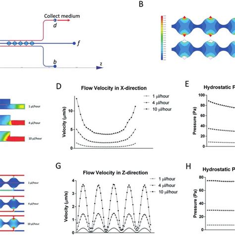 Simulation Modeling Results From The Microfluidic Device A Overview