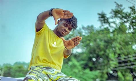 Review Kuami Eugenes Son Of Africa Album Music In Africa