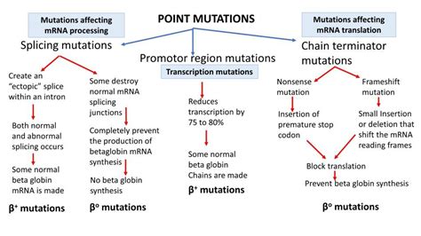 Pathology Of β Thalassemia Pathology Made Simple