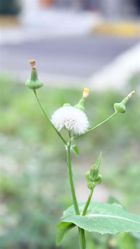🐳 ☁️ 🐬 用喜歡的方式 做喜歡的事情 做喜歡的興趣 保持善待的心