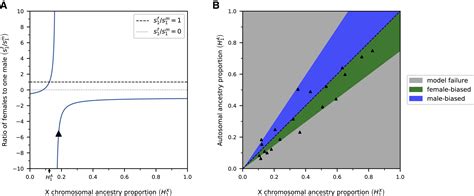 Challenges Of Accurately Estimating Sex Biased Admixture From X