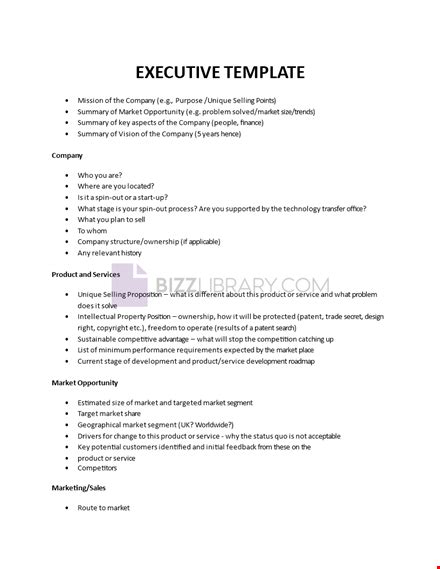 Executive Summary Example