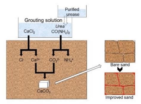 Precipitation Process In The Eicp Technique 6 Download Scientific