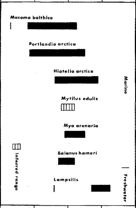 temporal distribution of some macrofaunal associations in the western