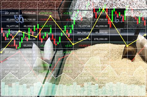 비즈니스 주식 금융 마케팅 경쟁 인덱스 다양 한 그래프와 데이터 분석 배경 차트 표시 슈퍼마켓 판매 성장에 쌀 그래프에 대한 스톡 사진 및 기타 이미지 Istock