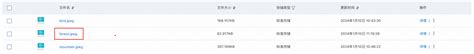 使用ossfs将oss的bucket挂载到linux系统中 对象存储 Oss 阿里云