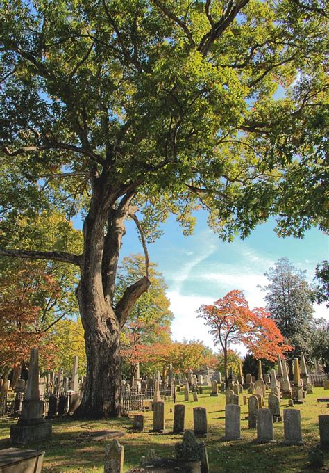 Daniel Windle 1748 1805 Find A Grave Memorial