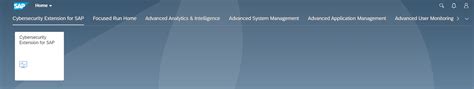 Cybersecurity Extension For Sap With Sap Focused Run Layer Seven Security