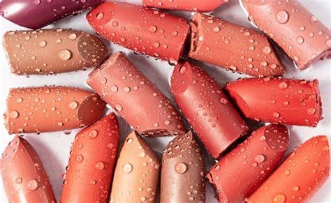 Trust These Neutral Lipsticks To Balance Your Makeup Look