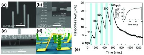 The Fabrication Process Of The Individual Vertical Nanowire Device A