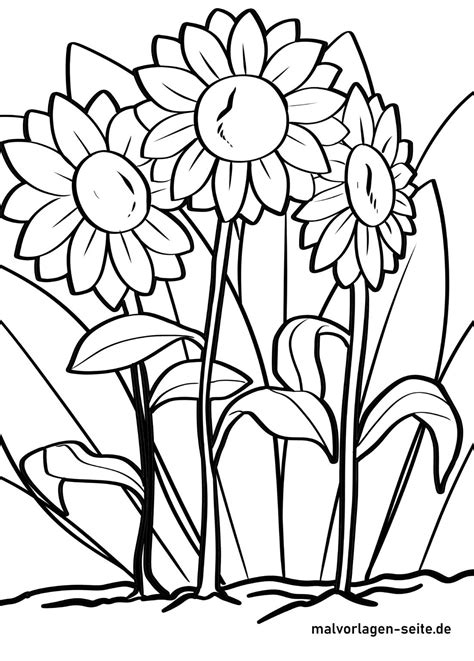 색칠 페이지 해바라기 무료 색칠 공부 페이지