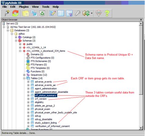Data Mart Schema For Study OpenClinica Reference Guide